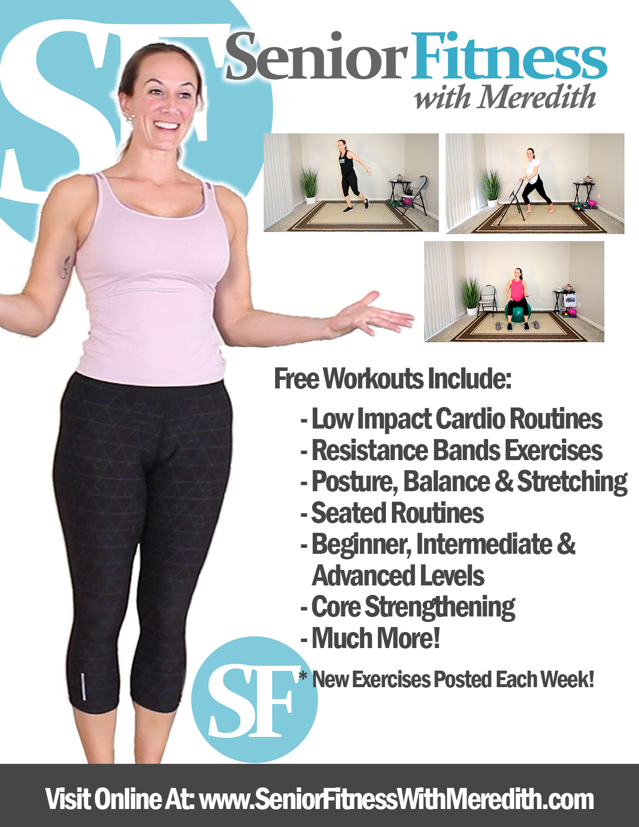 Flyers - Senior Fitness With Meredith