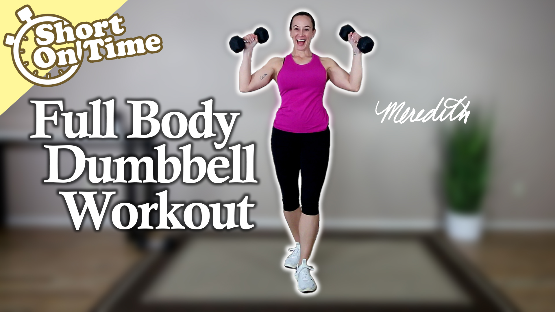 "Short On Time" Full Body Dumbbell Workout For Seniors | Intermediate ...