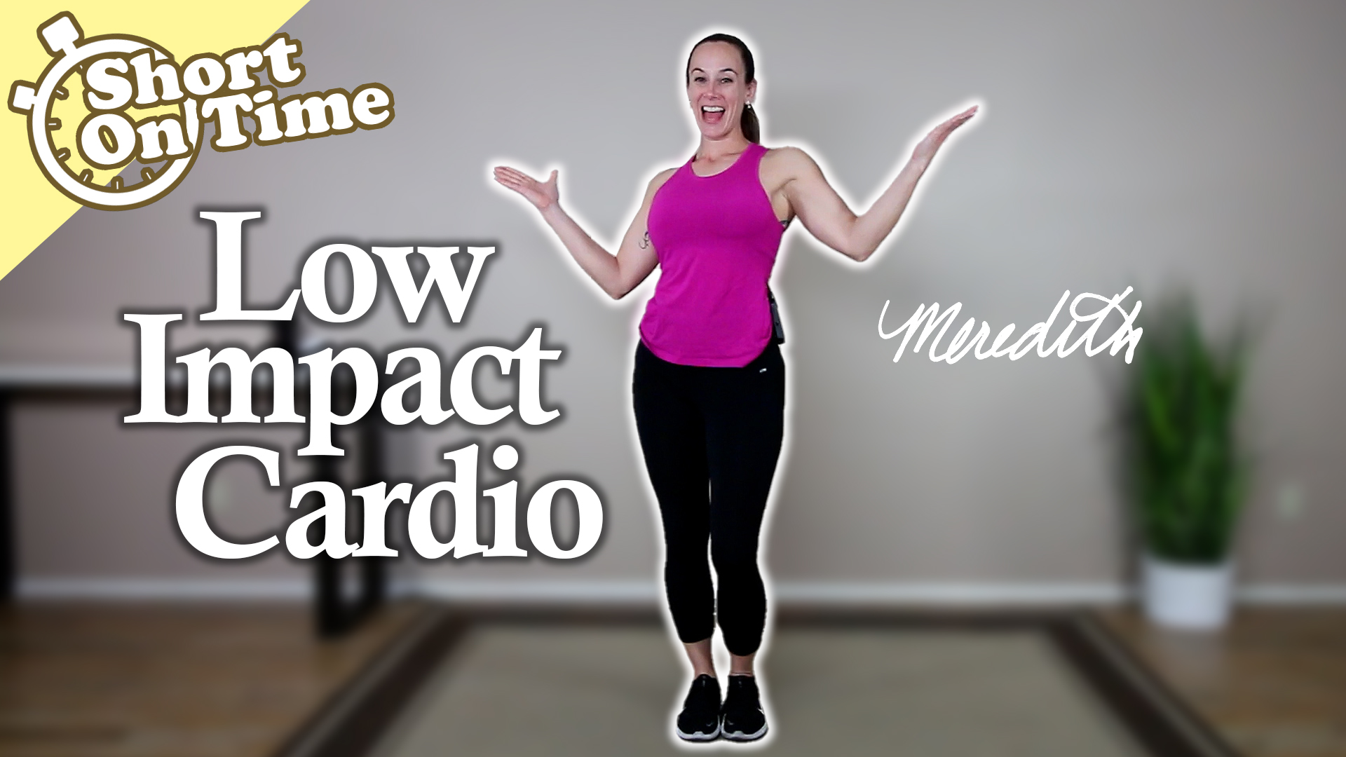 "Short On Time" Low Impact Cardio Workout For Seniors | All Standing ...