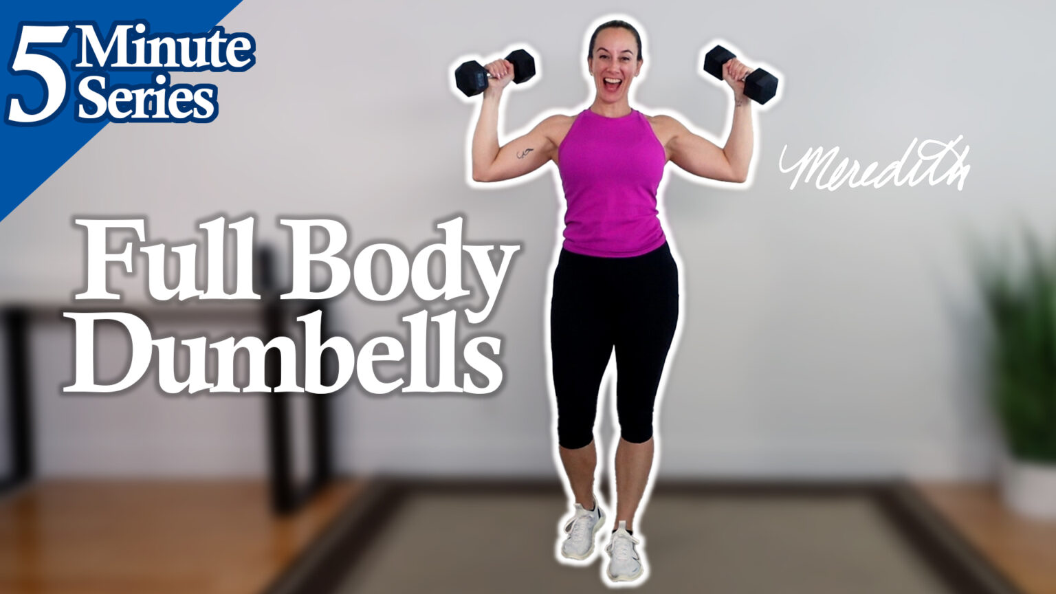 Filmed Workout Archives - Senior Fitness With Meredith
